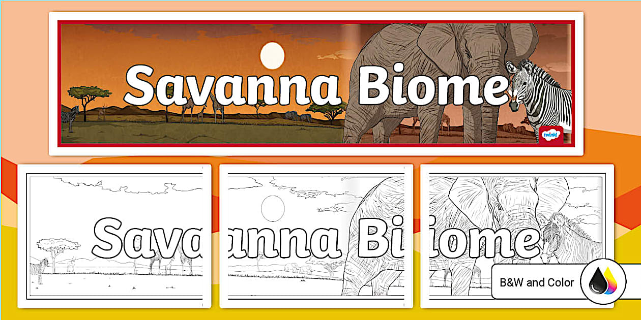 Savanna Biome Banner (Teacher-Made) - Twinkl