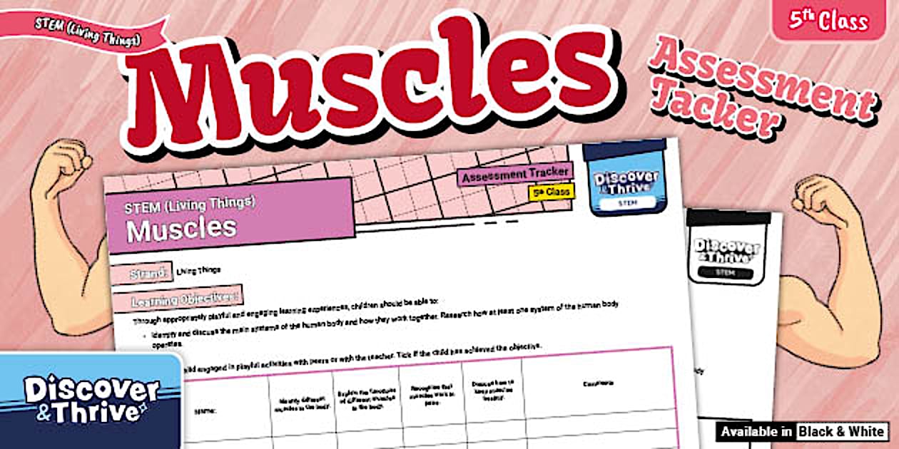 STEM (Living Things) Muscles Assessment Tracker