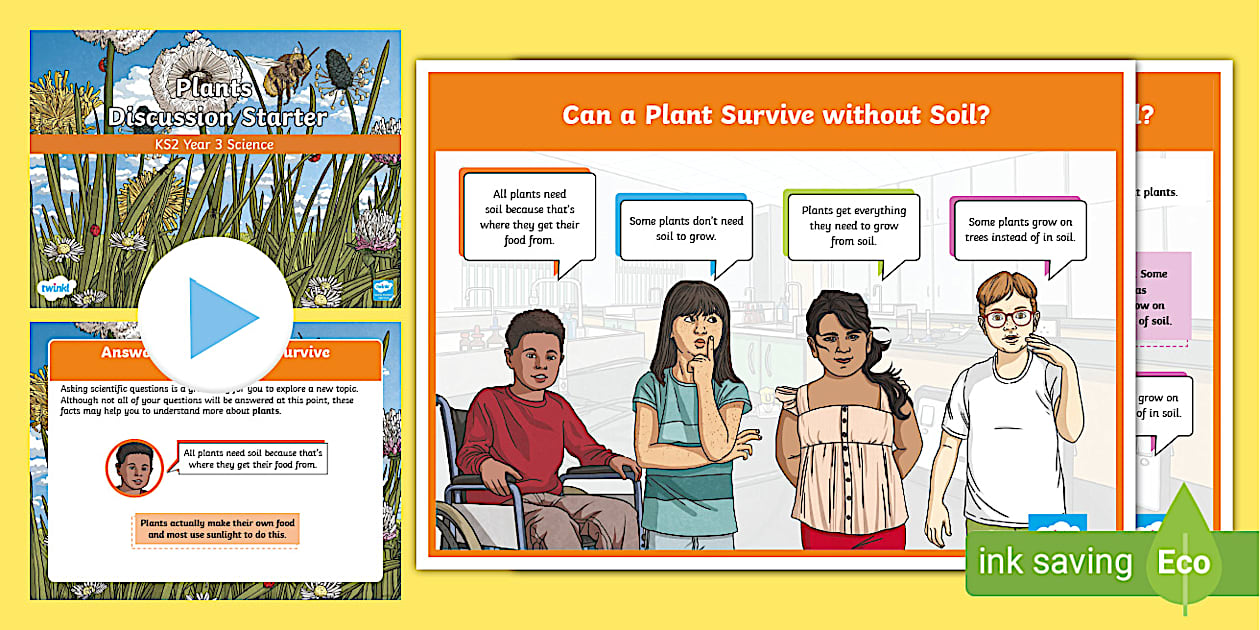 KS2 Year 3 Plants Science Discussion Starter (teacher made)