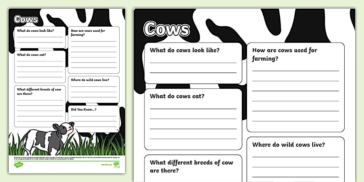 Cows Fact File Template (teacher made) - Twinkl