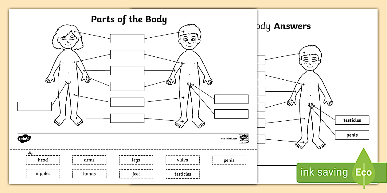 RSHP Label Body Parts Worksheet | Early Level HWB | Twinkl