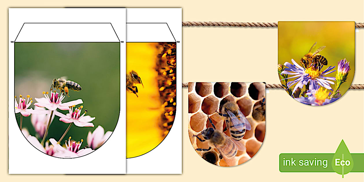 Bee Photo Display Bunting (Teacher-Made) - Twinkl
