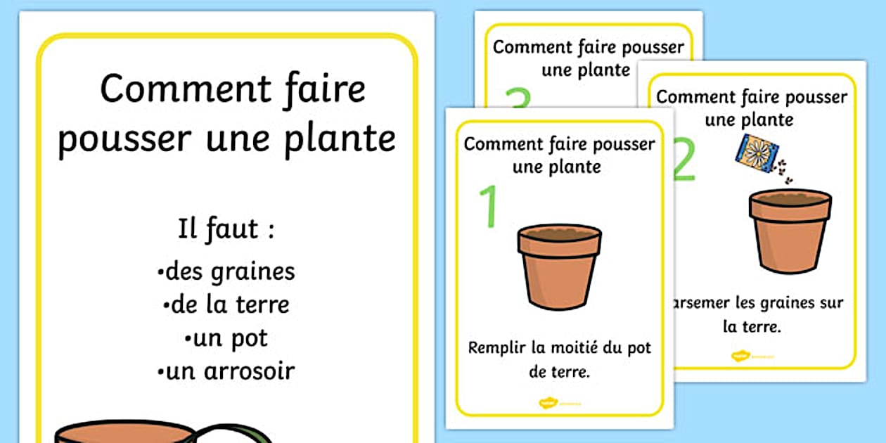 Comment faire pousser une plante (teacher made) - Twinkl