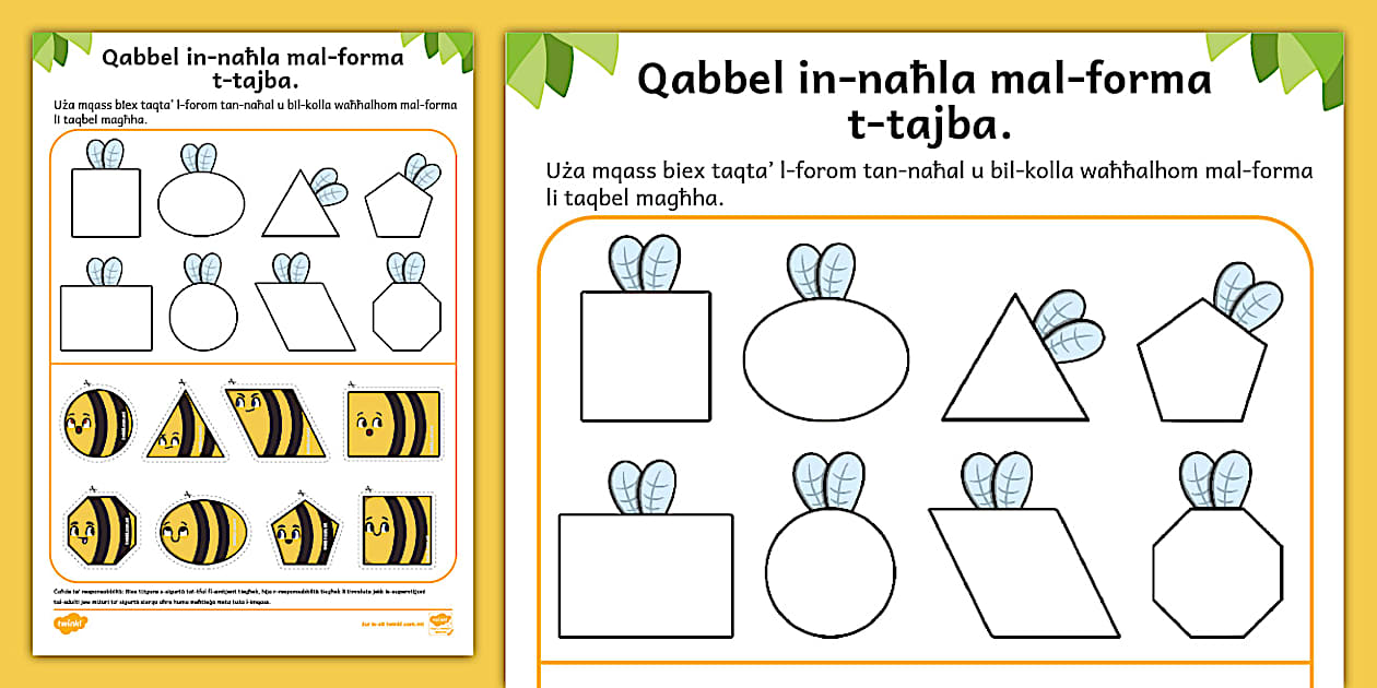 Il-Jum Dinji tan-Naħal: Qabbel in-naħla mal-forma t-tajba