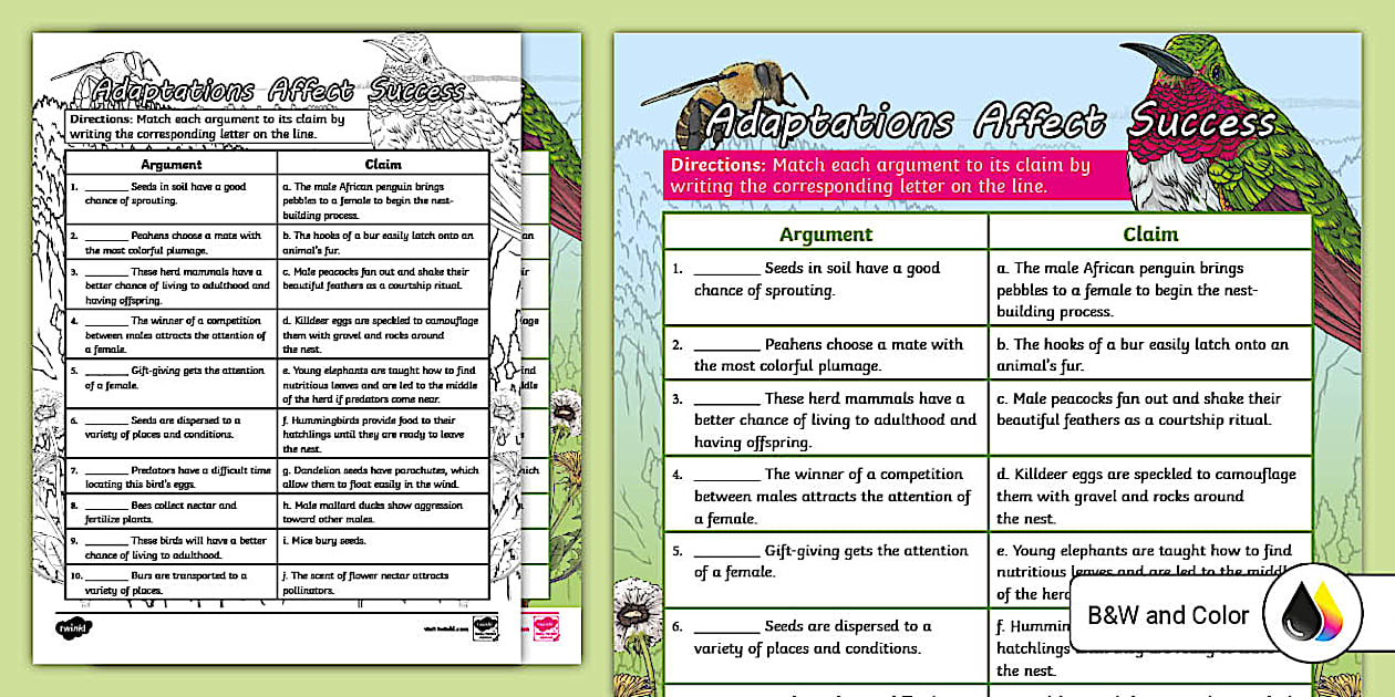 Sixth Grade Adaptations Affect Success Matching Worksheet