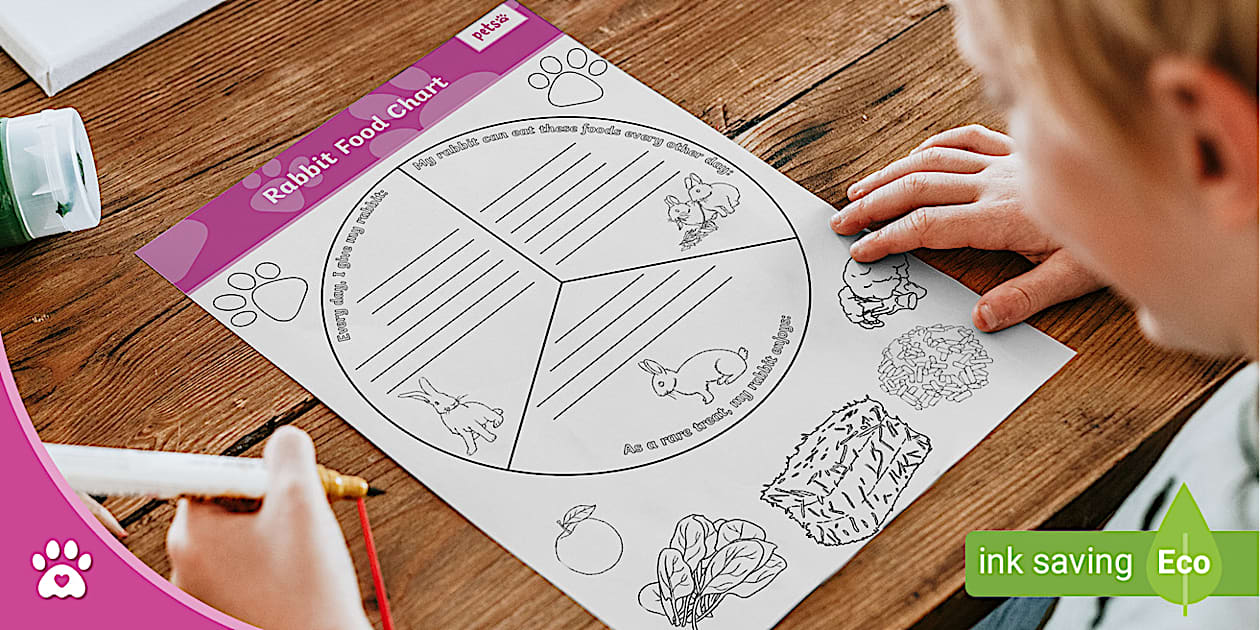 Rabbit Food Chart - Activity Sheet - Rabbit Care - Pets