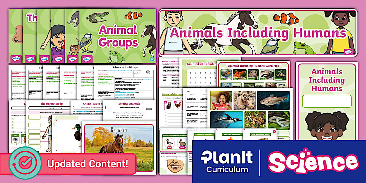 Year 1 Science Animals Including Humans Unit Pack