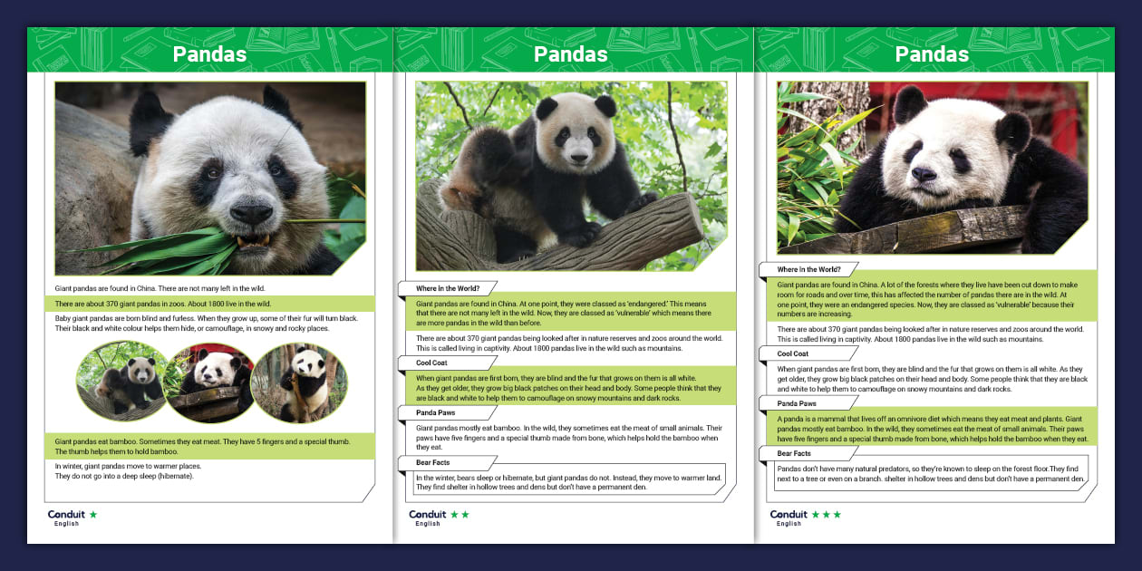 Reinforcing Reading: Pandas Reading Comprehension - Twinkl Reinforcing Reading: Pandas Reading Comprehension - Twinkl
