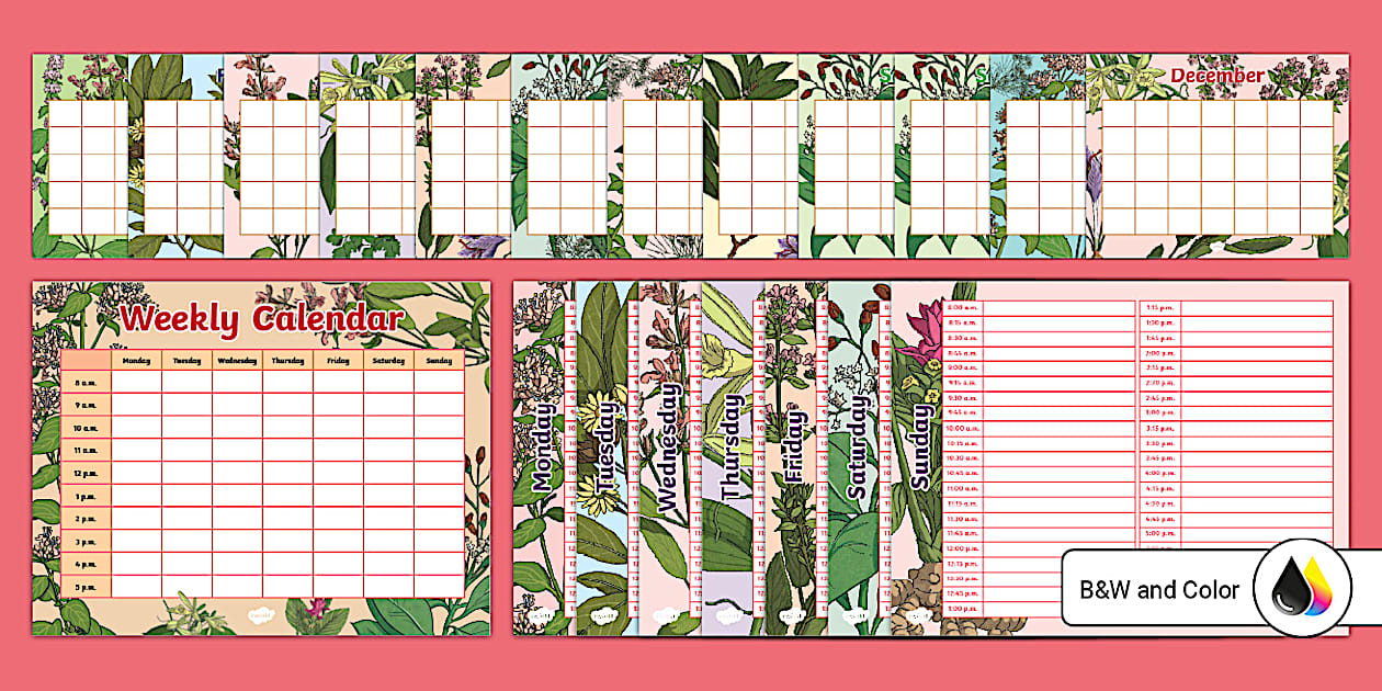 Homeschool Calendar | Teaching Resource | Twinkl USA