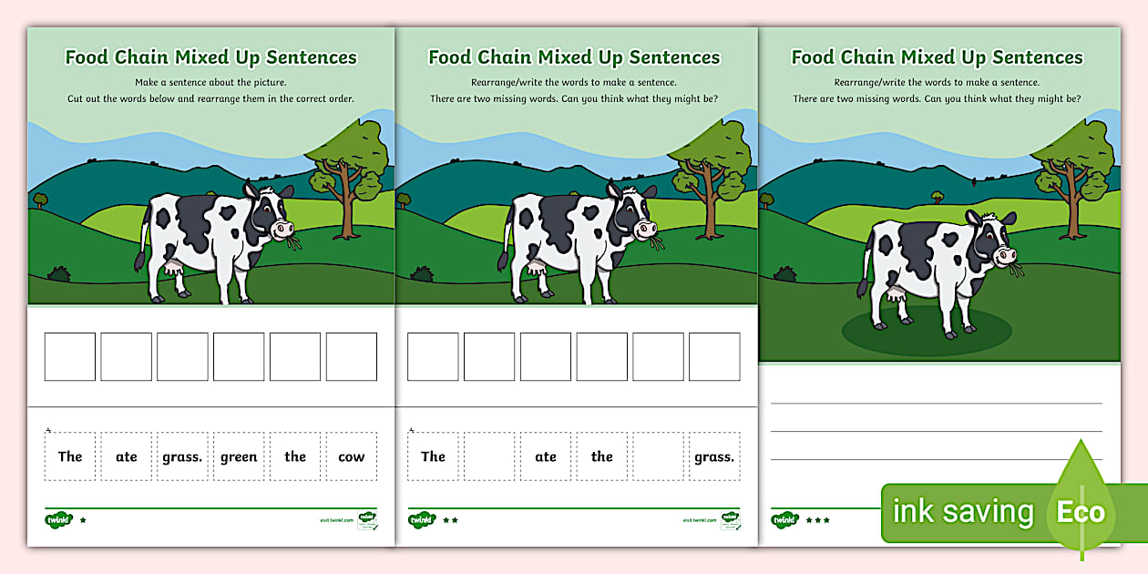 Farming Food Chain Mixed Up Sentences (Teacher-Made)