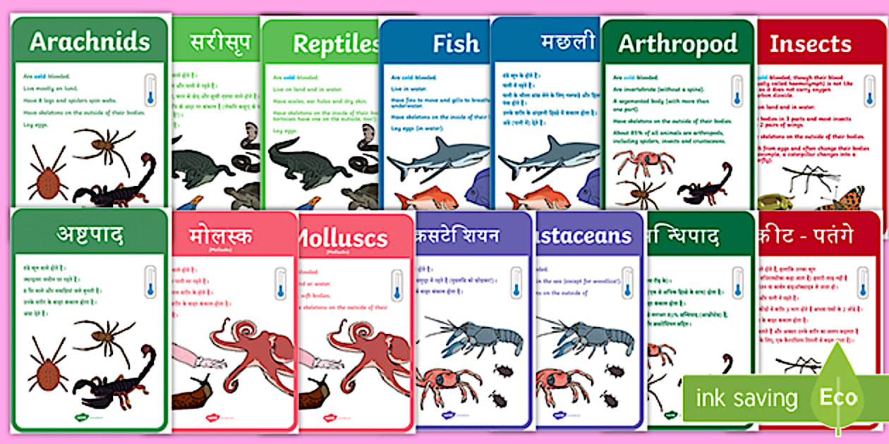 Cold Blooded Animals Display Posters - English/Hindi