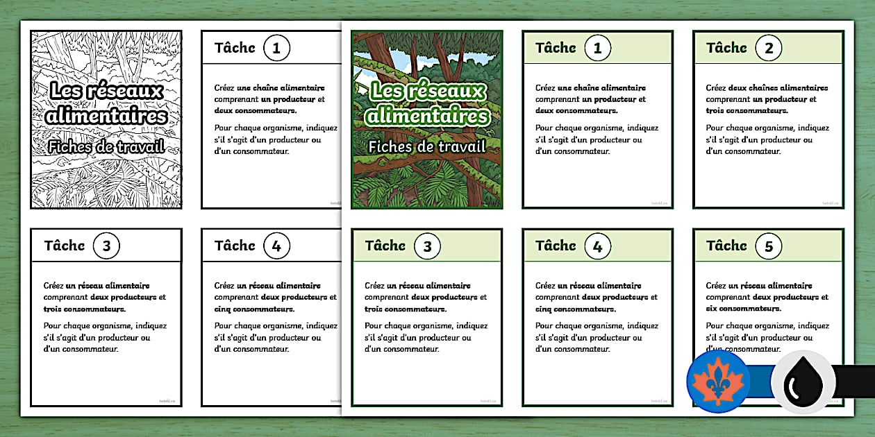 Food Web Task Cards French (teacher made) - Twinkl