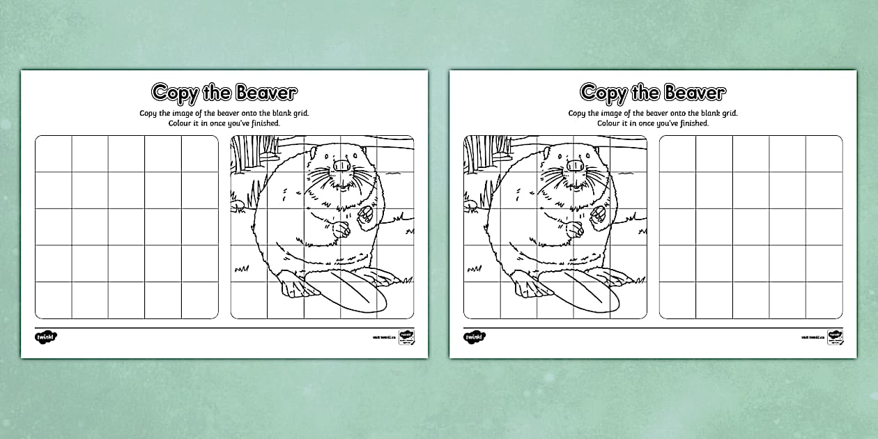 Copy the Beaver Worksheet (teacher made) - Twinkl