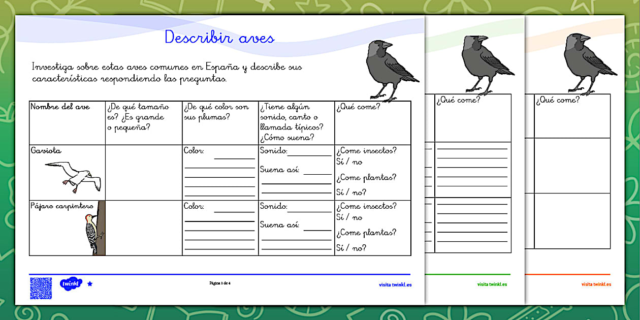 Ficha de actividad por niveles: Describir aves - Twinkl