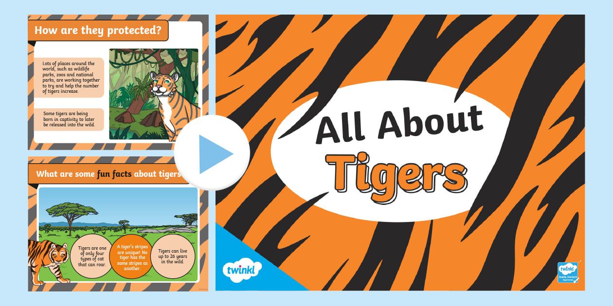All About Tigers PowerPoint | Parent Teaching Support