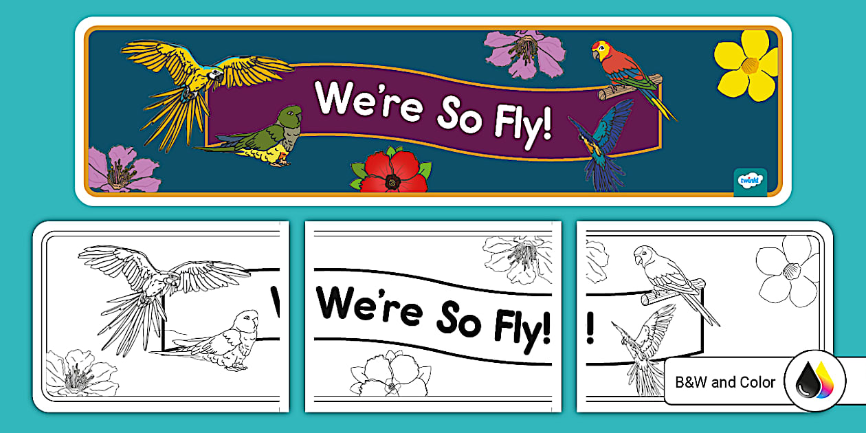 We’re So Fly! Parrot Theme Banner (teacher made) - Twinkl
