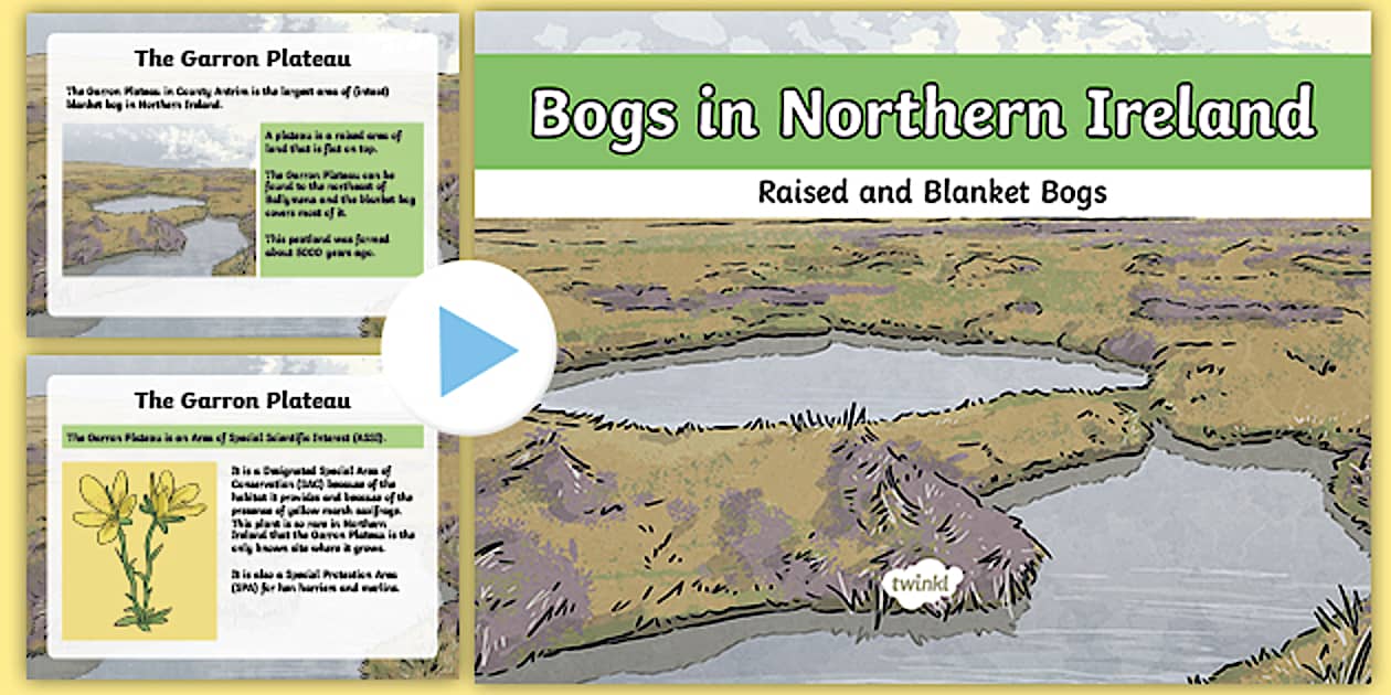 Bogs in Northern Ireland PowerPoint - Twinkl