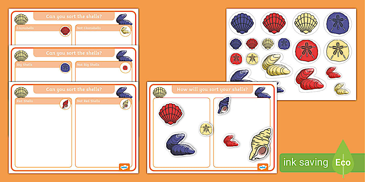 👉 Sorting Shells Activity (teacher made) - Twinkl
