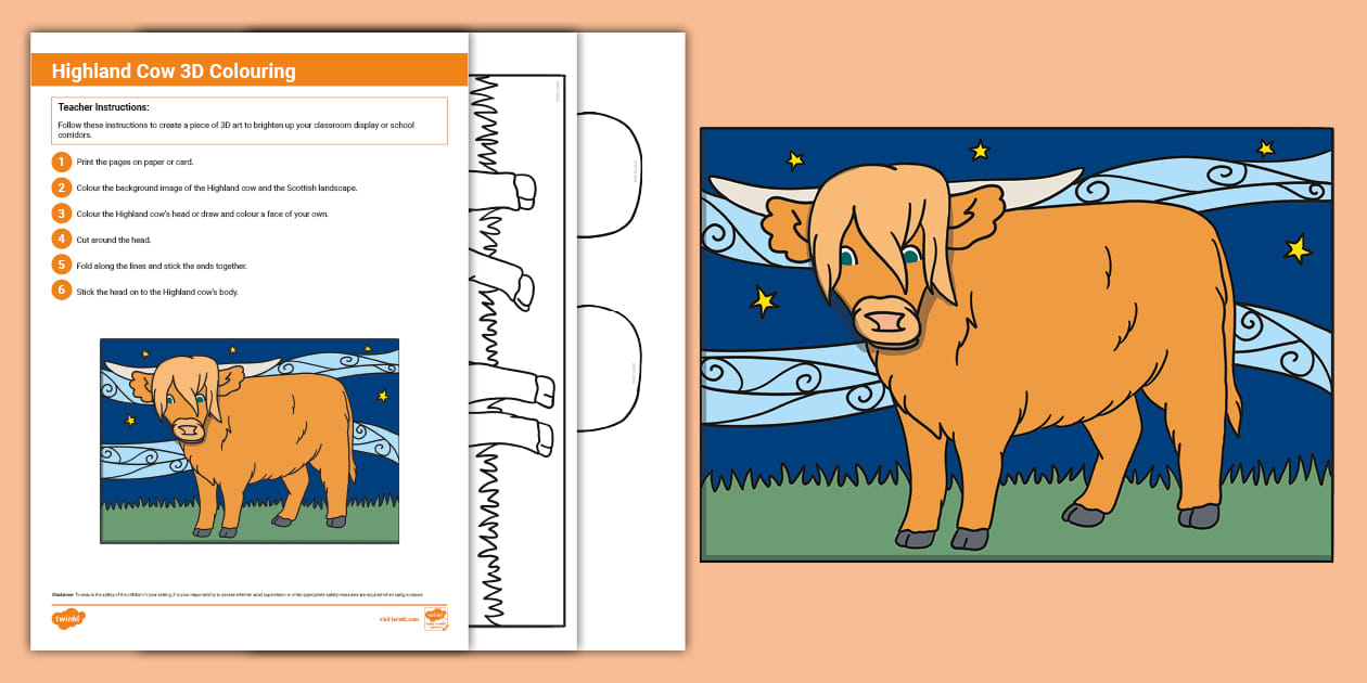 Highland Cow 3D Colouring Activity Sheet - Twinkl