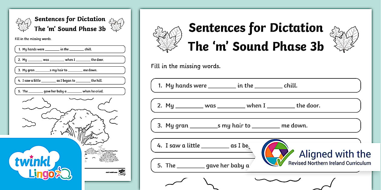 NI Linguistic Phonics Phase 3b 'm' Sound Dictation Sentences