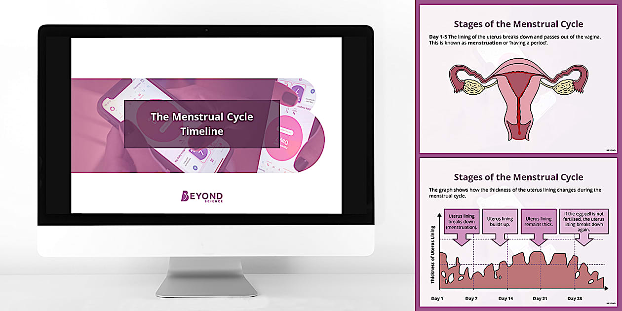 Sex and Relationships Education: Menstruation PowerPoint