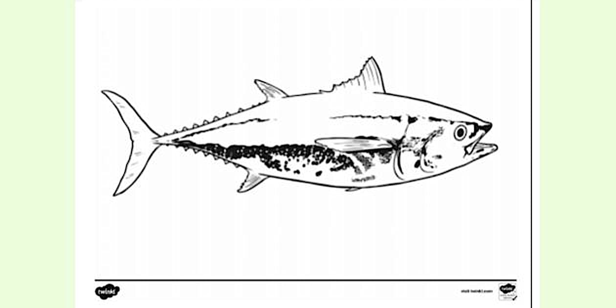 Tuna Fish Colouring Sheet