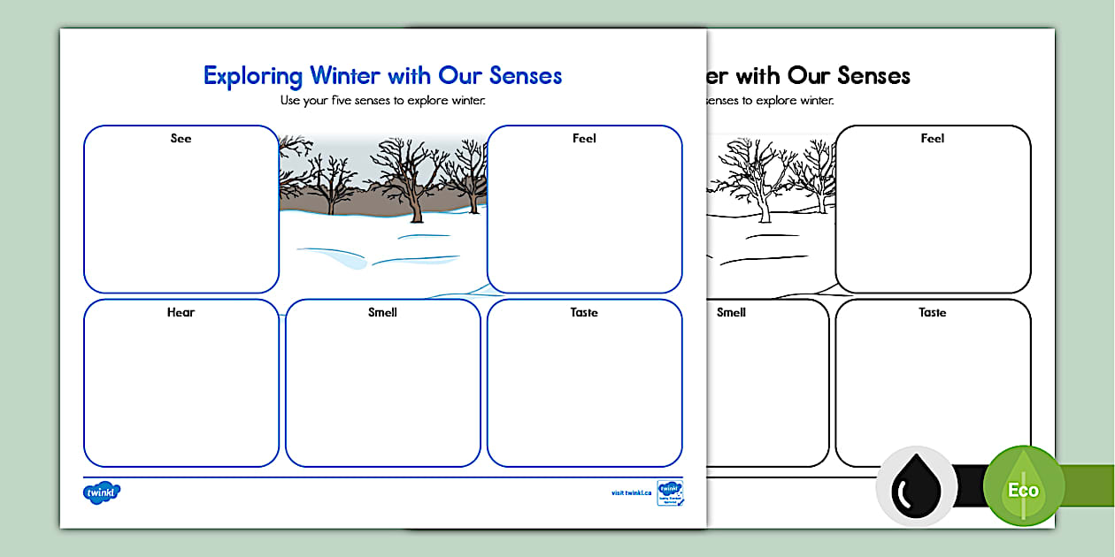 Winter Sensory Exploration Activity and Teacher Guide