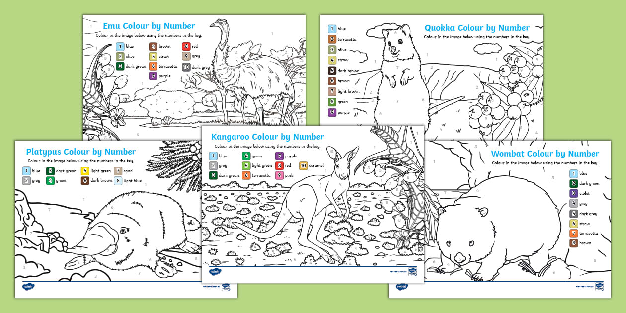 Australian Animals Colour by Numbers Worksheets - Twinkl