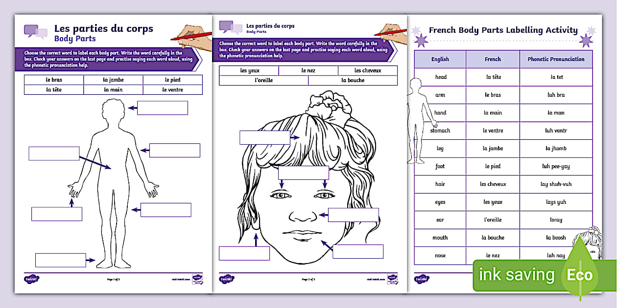 Les parties du corps | Ressource Twinkl (teacher made)