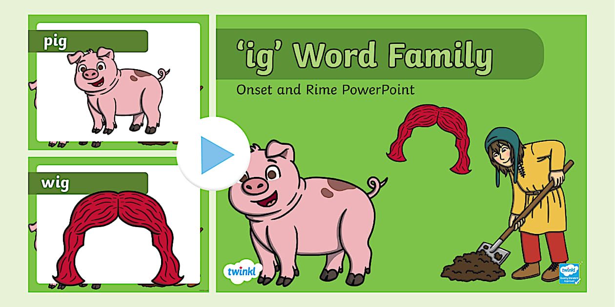 ‘ig’ Onset and Rime PowerPoint (teacher made) - Twinkl