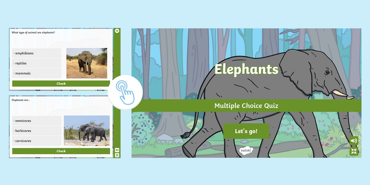 KS1 Elephants Interactive Multiple Choice Quiz - Twinkl