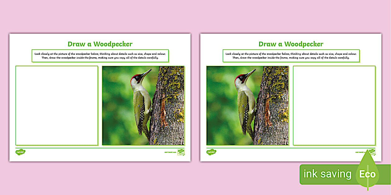Draw a Woodpecker Art Activity (teacher made) - Twinkl