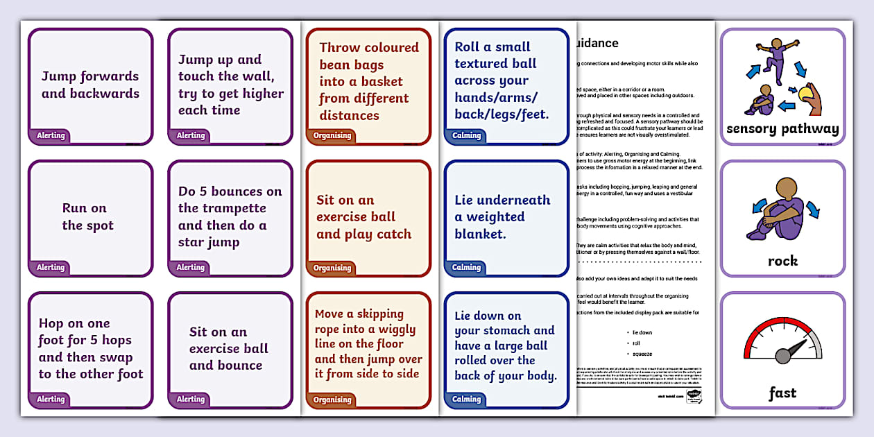 Sensory Pathway Activity Cards
