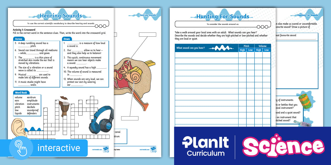Science: Sound: Year 4 Home Learning Tasks (teacher made)