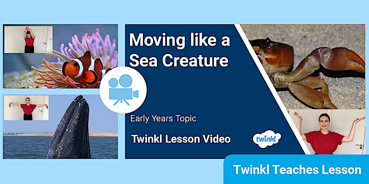 Under the Sea Movement Video Lesson | EYFS Topic Videos