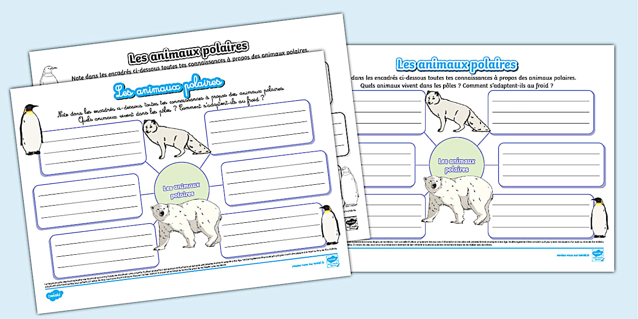 Carte mentale : Les animaux polaires (teacher made) - Twinkl