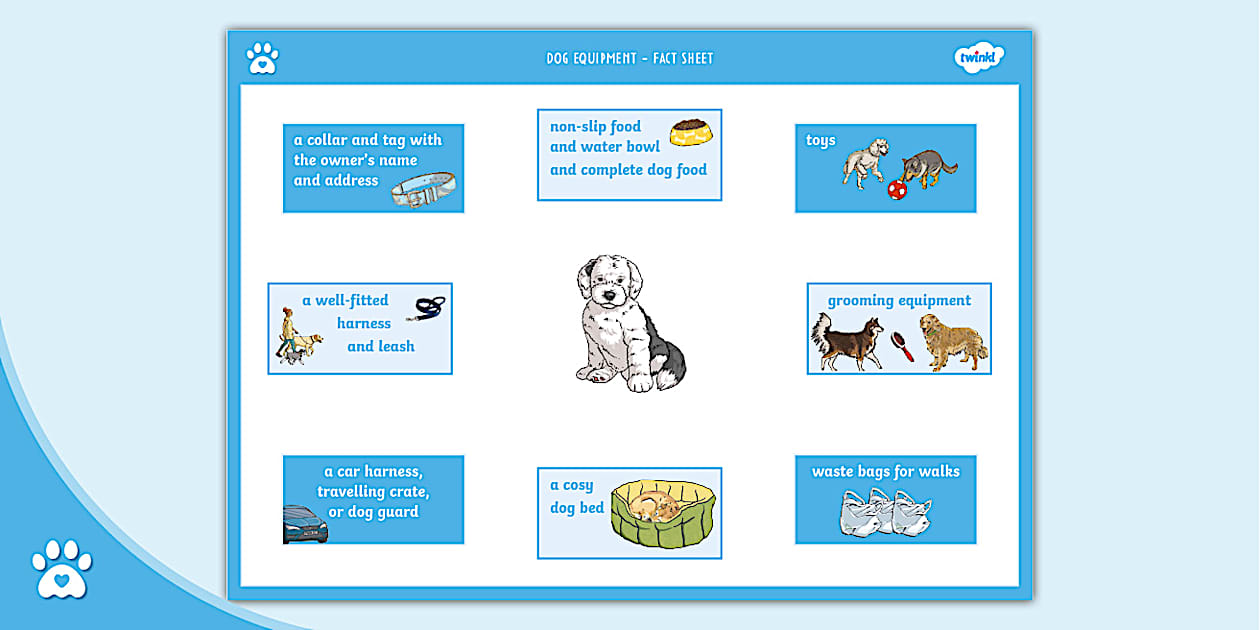 Dog Equipment - Fact Sheet - Pet Care - Dogs - Twinkl Pets
