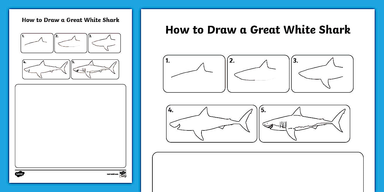 How to Draw a Great White Shark Activity (teacher made)