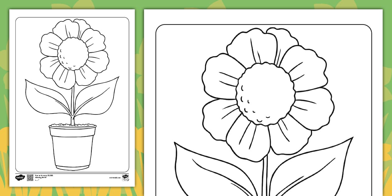 Flower Outline Drawing Colouring Page