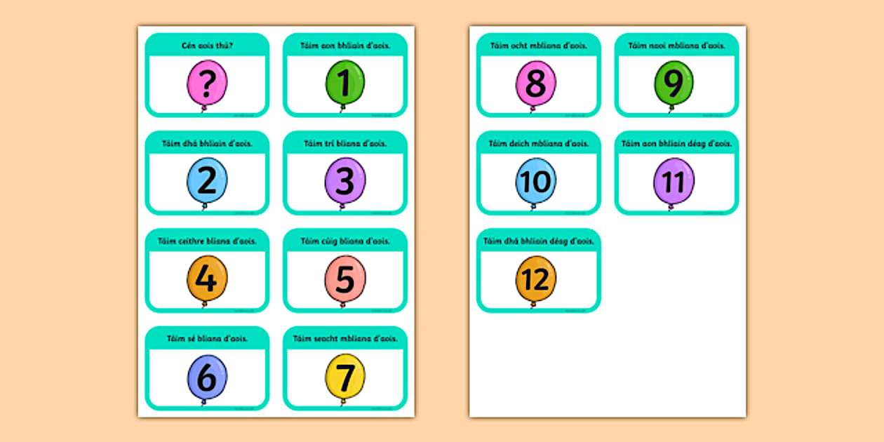 Editable Cén Aois Thú? Flashcards Gaeilge - Twinkl