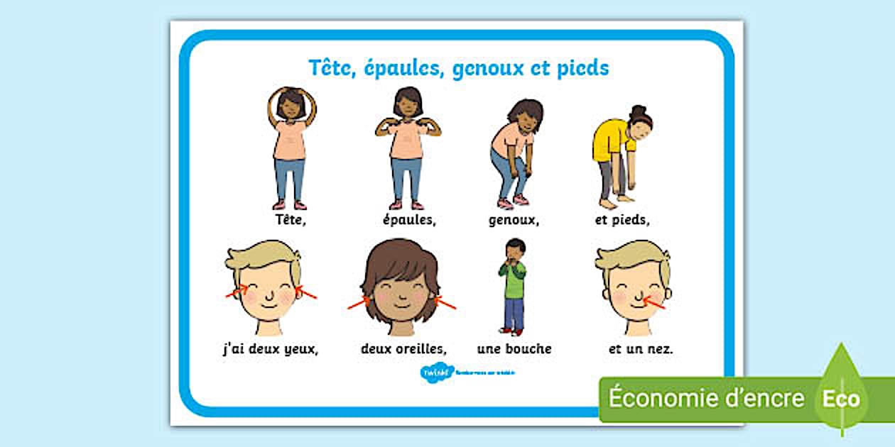 Poster : Tête, épaules, genoux, pieds - Twinkl