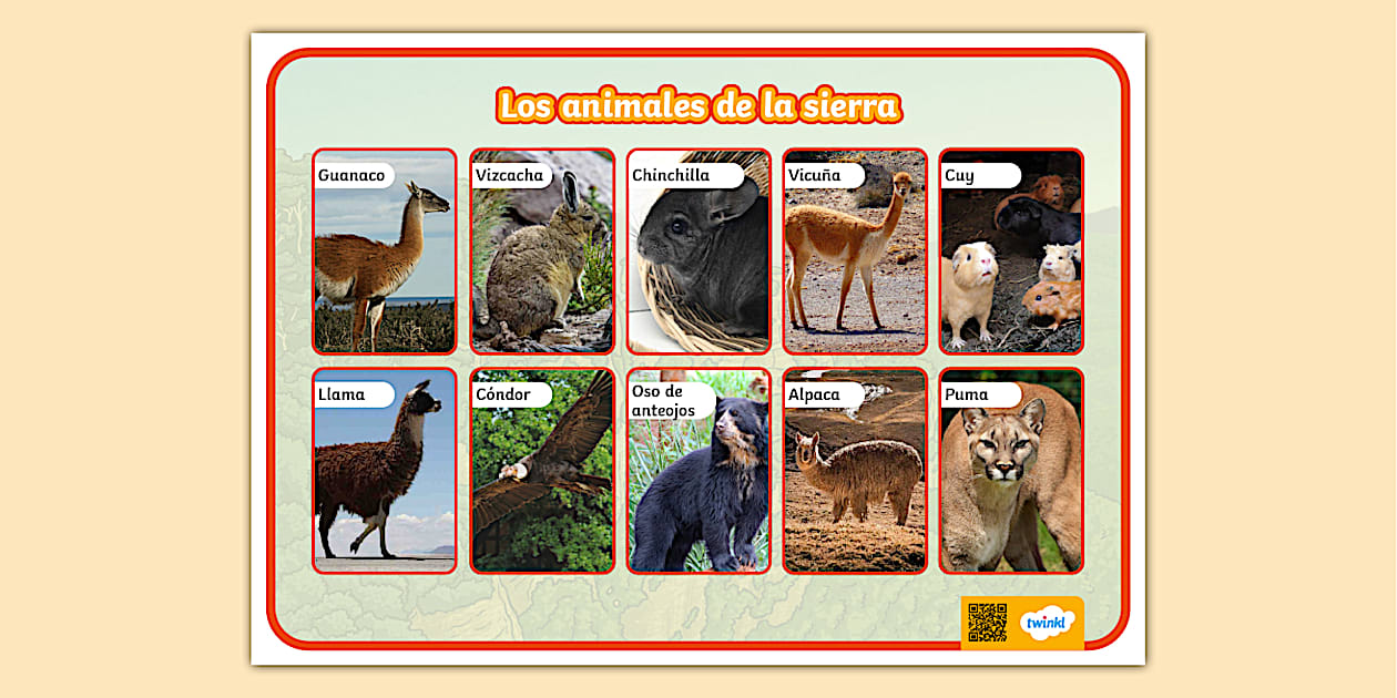 Lámina: Animales de la sierra peruana - Twinkl