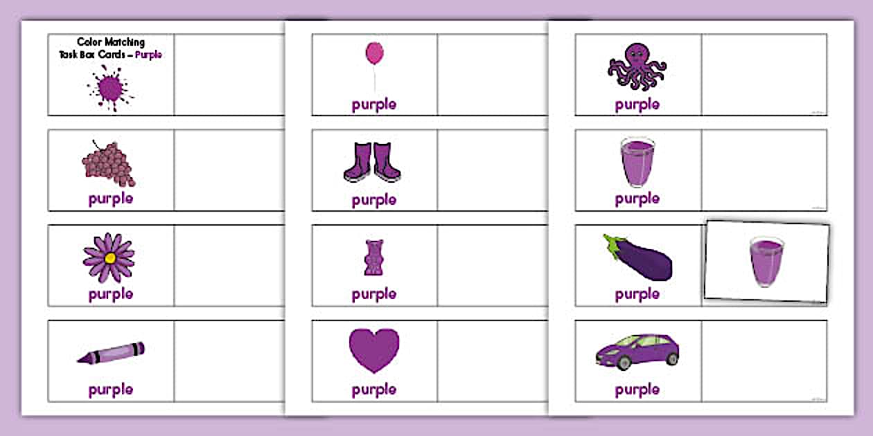 Color Matching Task Box Cards - Purple (teacher made)