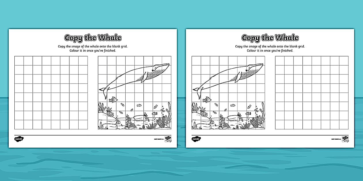 Copy the Whale Worksheet (Teacher-Made) - Twinkl