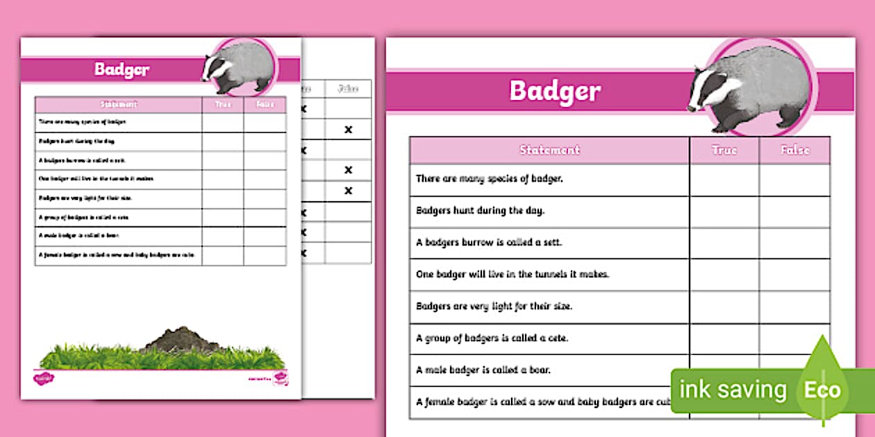 Badger True or False Activity - Grades 4-6 - Twinkl