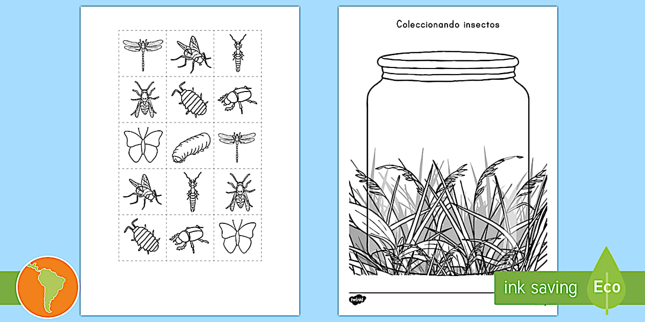 Ficha de recortar: Coleccionar insectos (teacher made)