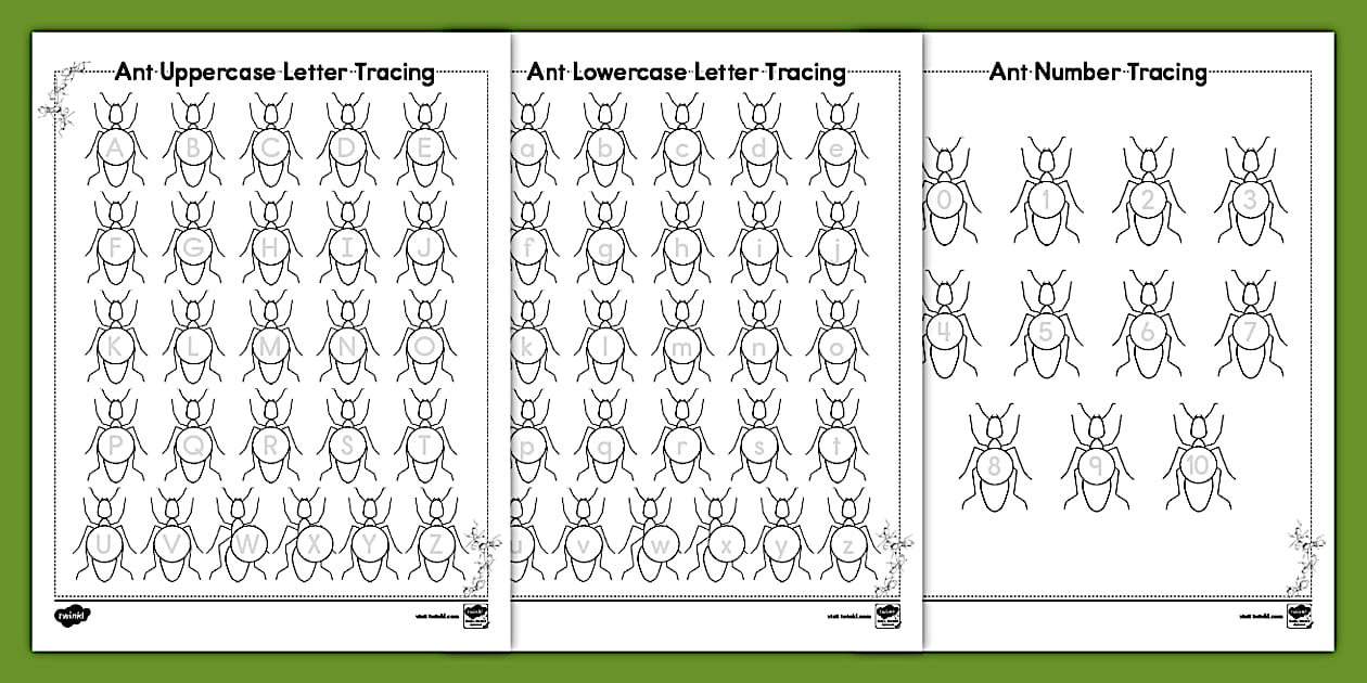 Ant Letter and Number Tracing Worksheet (Teacher-Made)