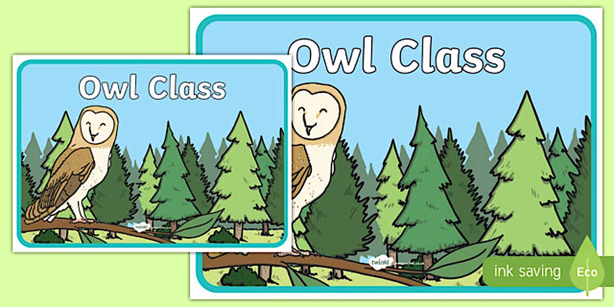 Owl Class Display Poster (Teacher-Made) - Twinkl