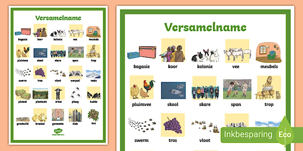 Versamelname In Afrikaans Plakkaat - Intermediêrefase