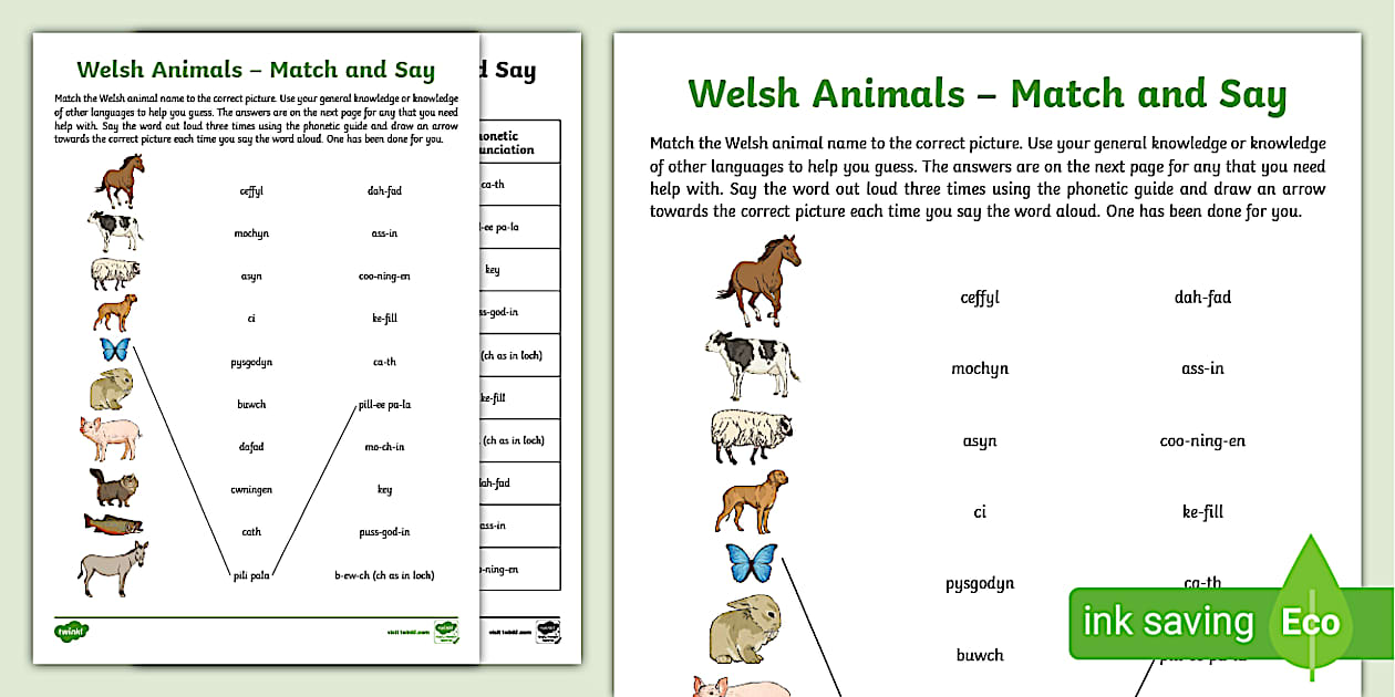 Learn Welsh: Animals Match and Say Activity Sheet - Twinkl